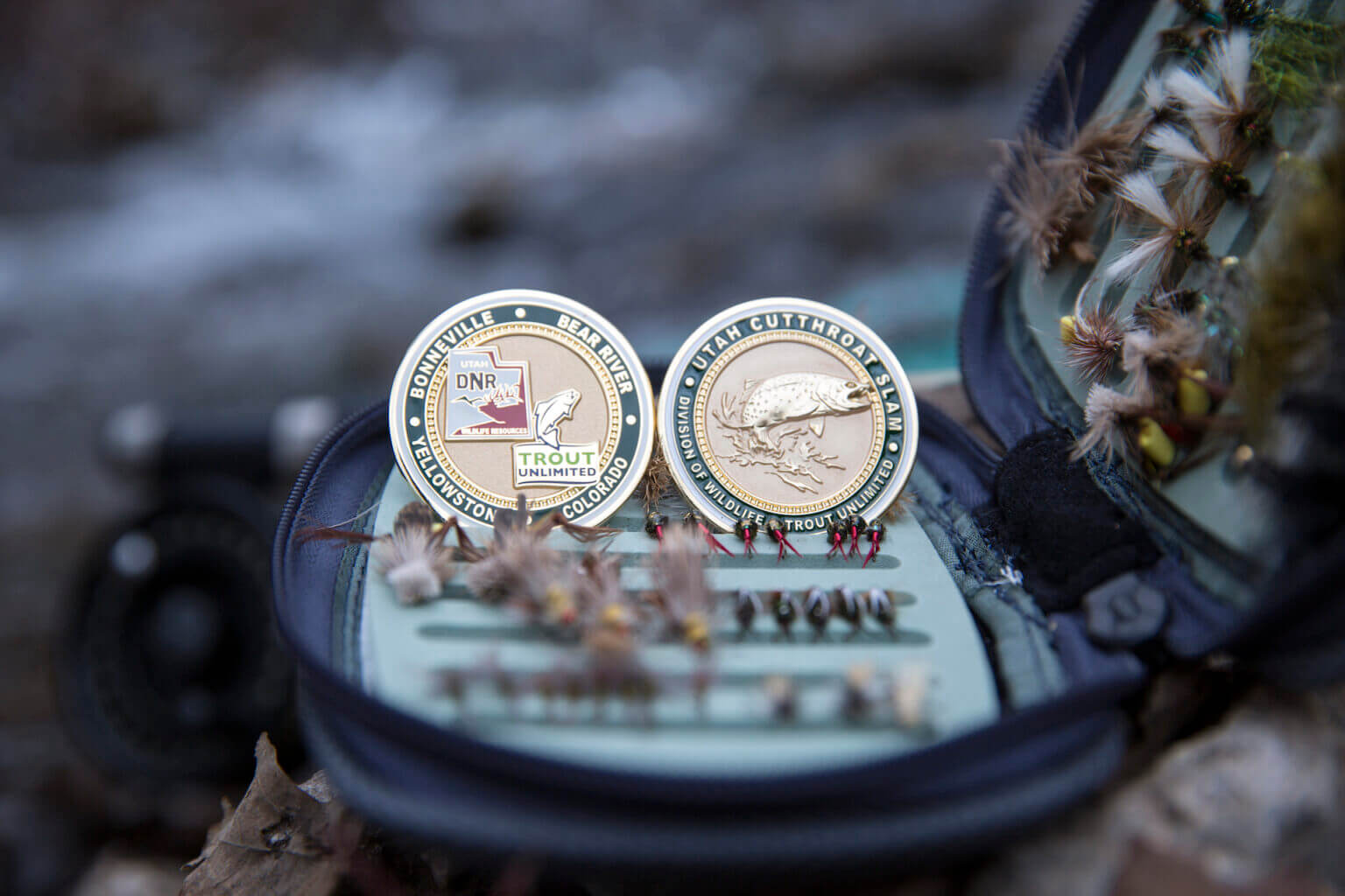 Utah Cutthroat Slam | Record Slams for 2024 and New Medallion