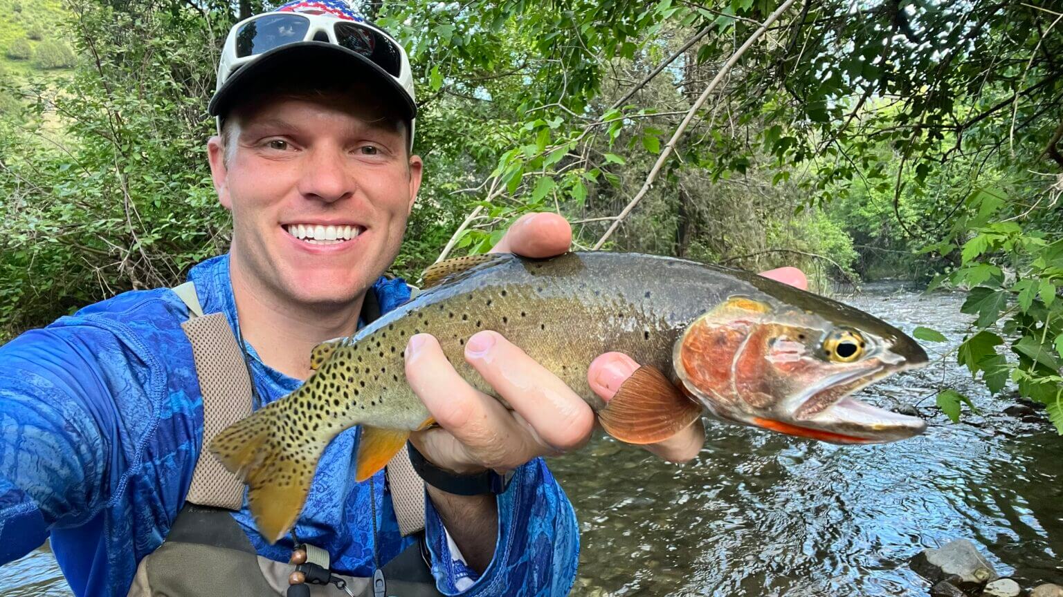 Utah Cutthroat Slam | Identifying Cutthroat Trout
