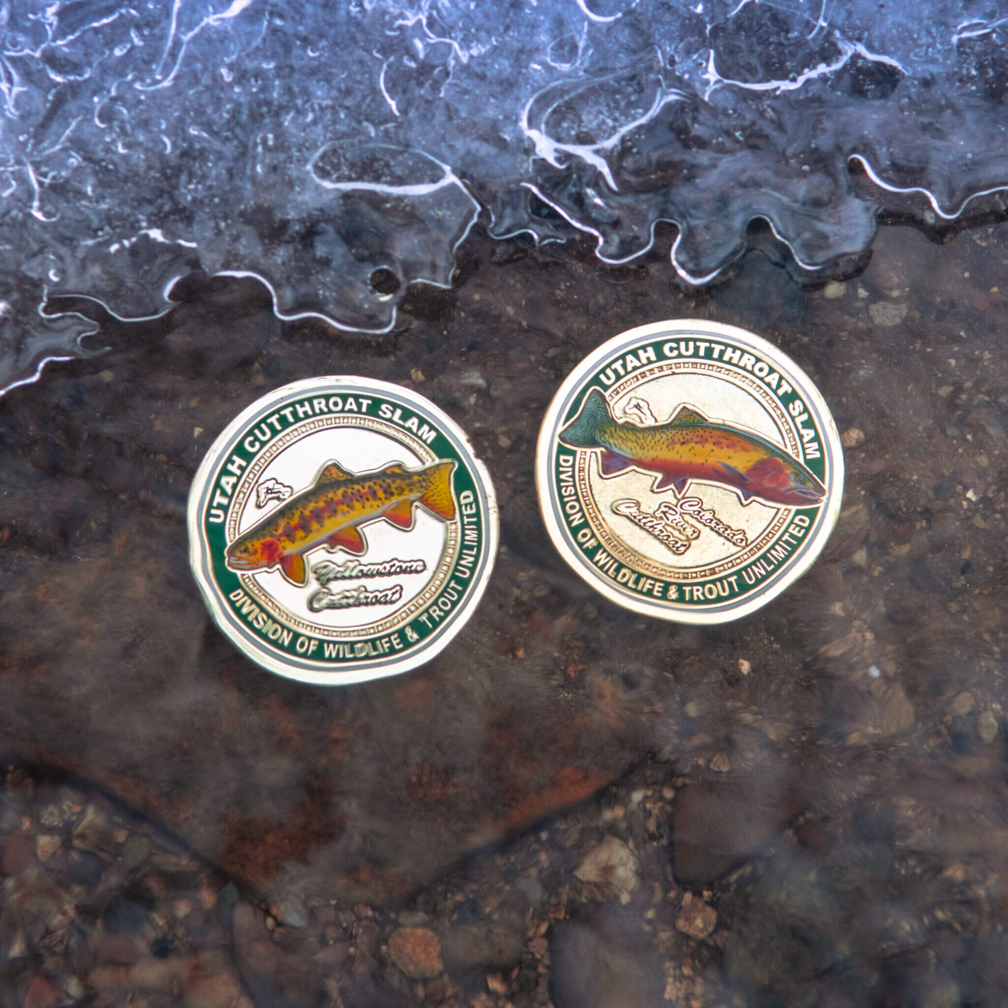 Utah Cutthroat Slam | Record Slams for 2024 and New Medallion